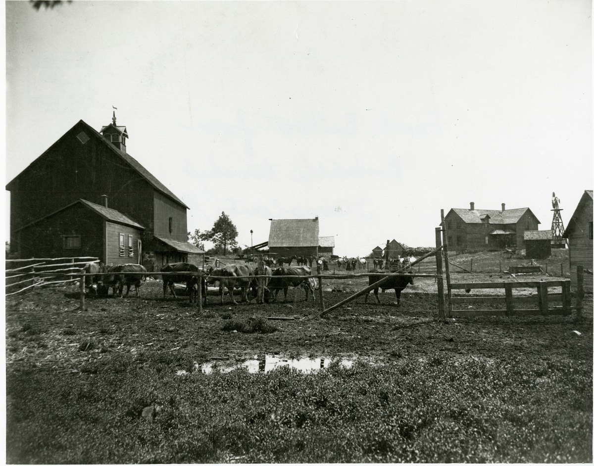 Library & Archives | Stearns History Museum